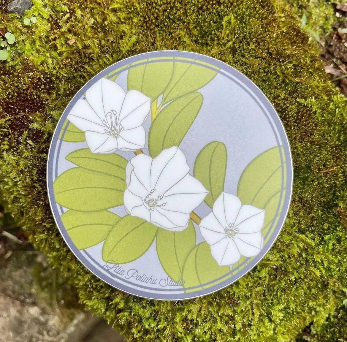 Pāʻū o Hiʻiaka Sticker | Island Nation