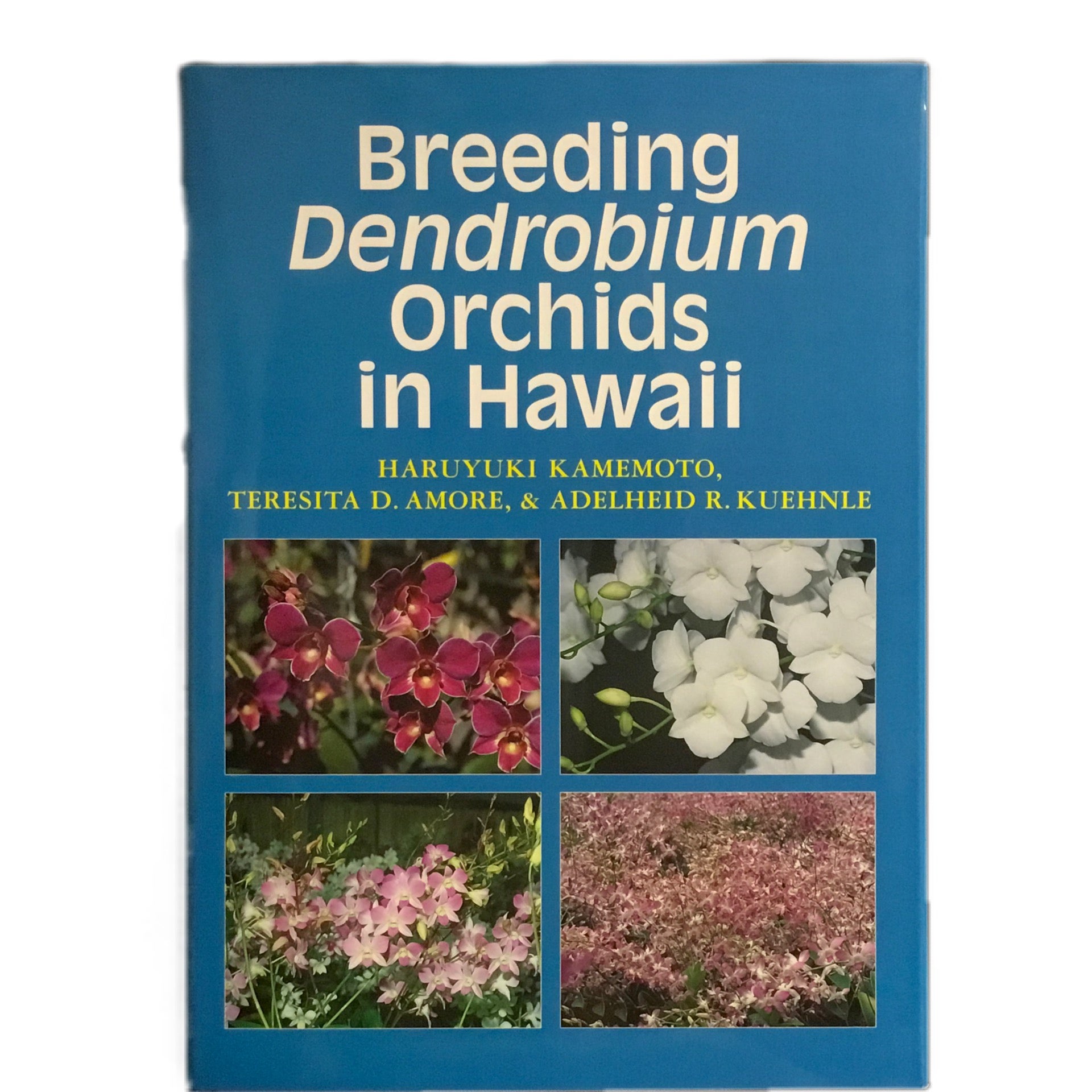 Breeding Dendrobium Orchids In Hawaii | Island Nation